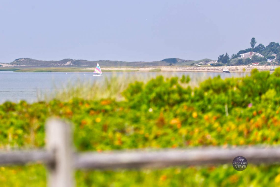 Cape Cod Photos Of The Week - End Of Summer - FREE Cape Cod News