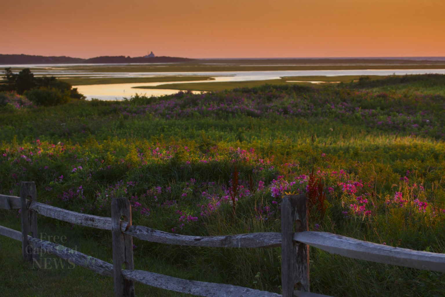 Cape Cod Hidden Gems: Discover the Secret Treasures of a Popular ...