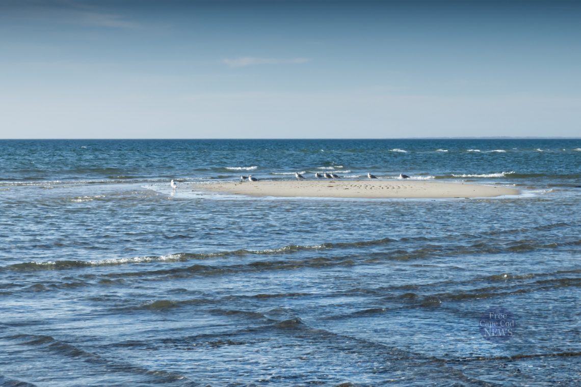 Navigating the Surf: A Guide to Spotting and Understanding the Risks of ...