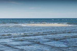 Navigating the Surf: A Guide to Spotting and Understanding the Risks of ...