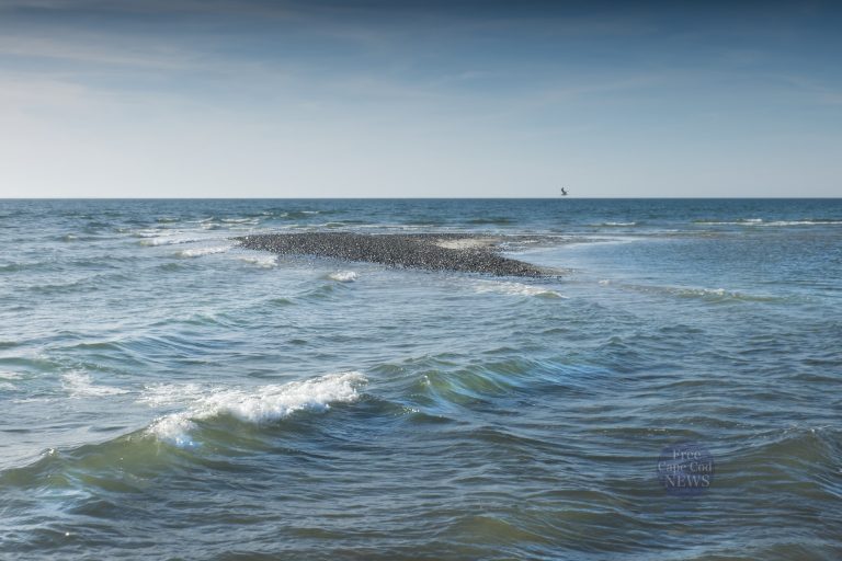 Navigating the Surf: A Guide to Spotting and Understanding the Risks of ...